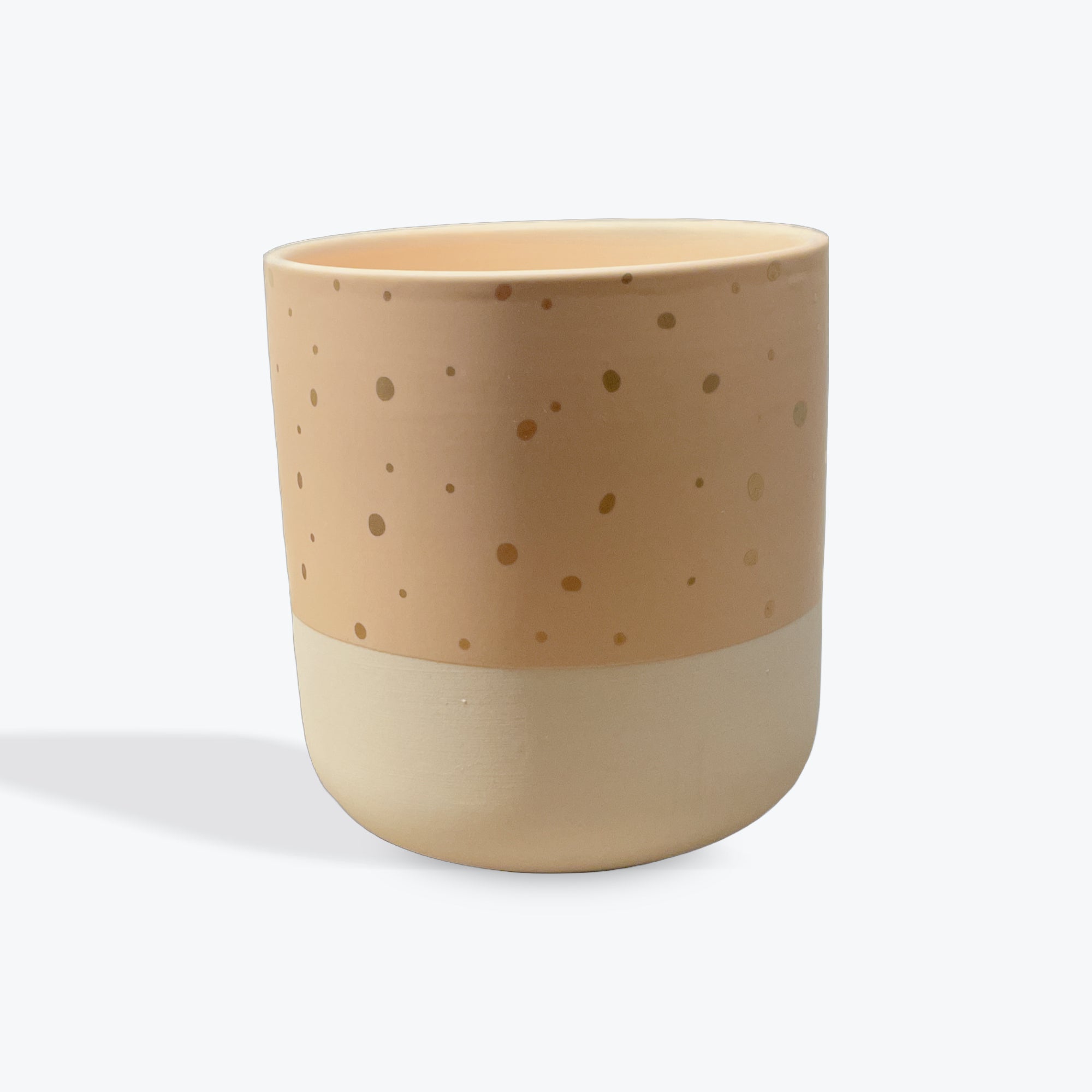 Nola Dot Pot | Back Alley House Plants